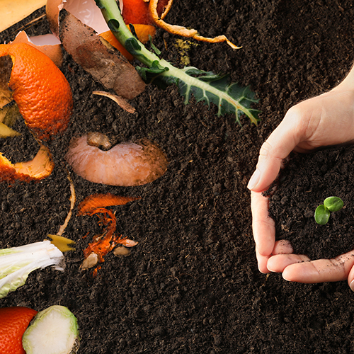 Research projects - Queensland Alliance for Environmental Health ...